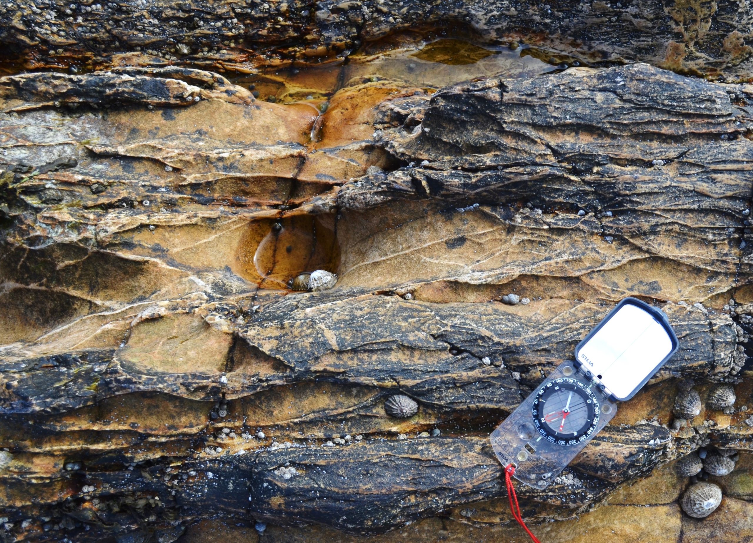 Sedimentary And Tectonic Deformation In The Permo Triassic Hopeman