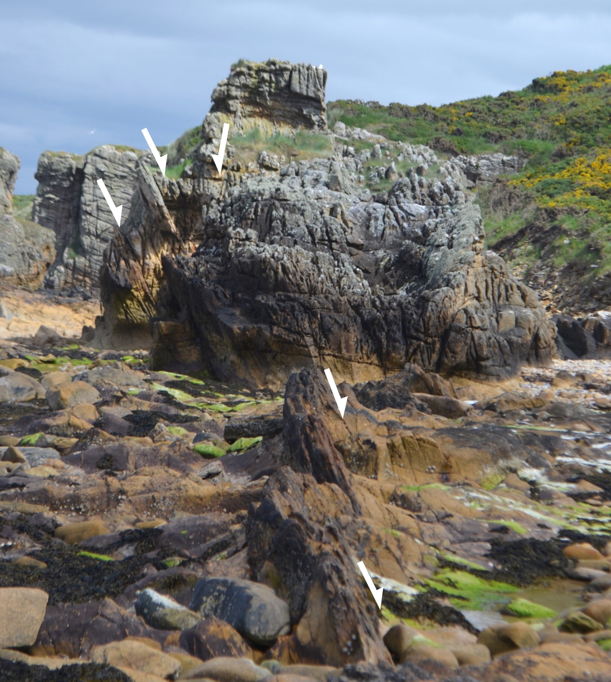 Sedimentary and Tectonic Deformation in the Permo-Triassic Hopeman ...